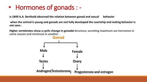 Hormonal Control Of Behaviour 2 Pptx