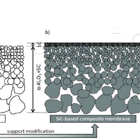 Schematic Representation Of A The Pristine Asymmetric Membrane