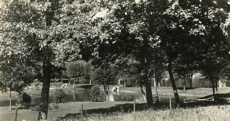 Pieces Of Wild Rose Wi Area Genealogy And My Own Wild Rose Hatchery