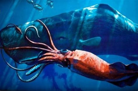揭秘深海里可怕的十大生物你见过几种 3 巴拉排行榜