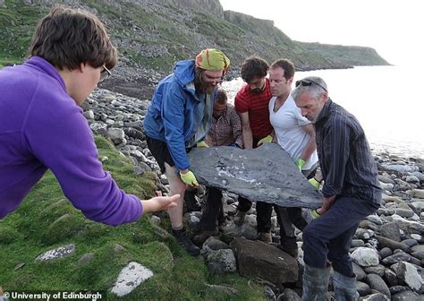 Worlds Largest Jurassic Pterosaur Unearthed On The Isle Of Skye