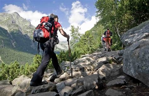 Trekking Vs Nordic Walking Differences Explored Reluctant Low Carb Life