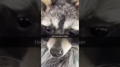 Aquarium Tips Beginners Tamil