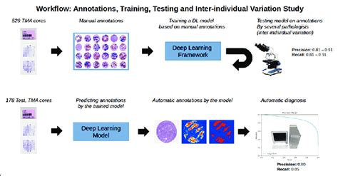 Workflow Of The Annotation Tool Download Scientific Diagram