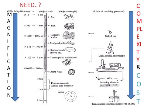 Scanning Electron Microscopy Sem Lecture Pptx Chemistry Science