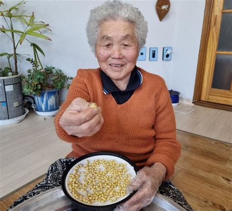 콩나물 기르며 정서 함양···경남 함양군 노인맞춤돌봄 프로그램 ‘반갑다 콩알콩알 콩나물 교육 더경남뉴스