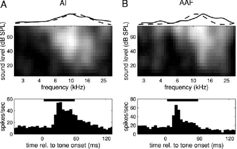Figure 11 From Spectrotemporal Structure Of Receptive Fields In Areas