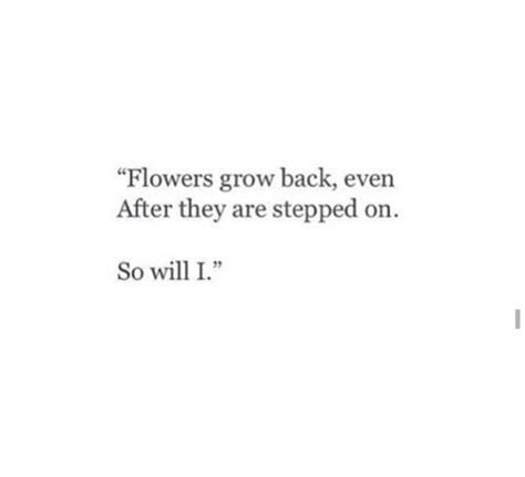 Flowers Grow Back Even After They Are Stepped On So Will I