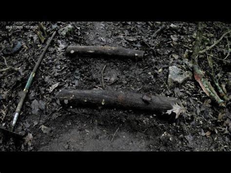 Forest Trail Making Rustic Log Steps Part Red Cedar And Logs Found Forest Forest