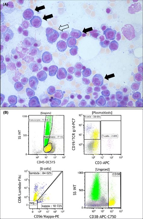 Bone Marrow Smear And Flow Cytometry Analysis Of The Initial Bone Download Scientific Diagram