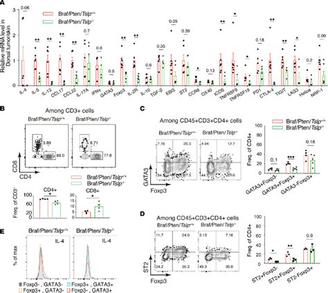 Absence Of Tslp Leads To Reduced Accumulation Of Gata3 Tregs In