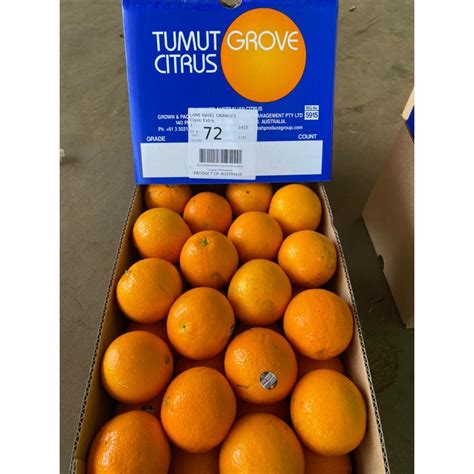 Jual Jeruk Navel Australia KG Shopee Indonesia
