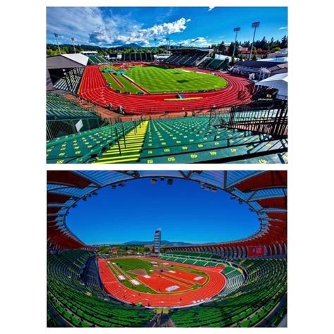 Track And Field Image