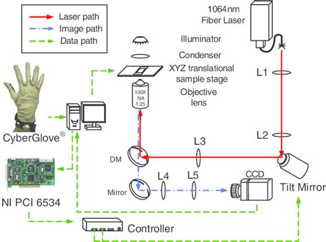 Schematic Representation Of The Optical Setup Download Scientific Diagram