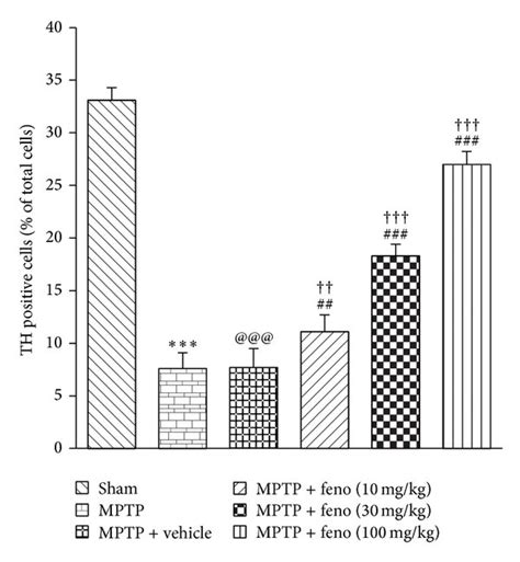 A Quantification Of Dna Fragmentation Observed In Tunel Assay B