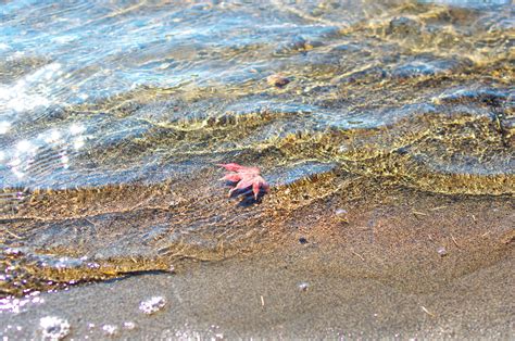 揺らり揺らり・・・