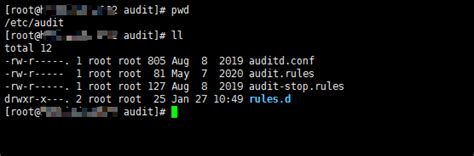 linux审计工具auditd使用与日志收集 linux nf csdn博客