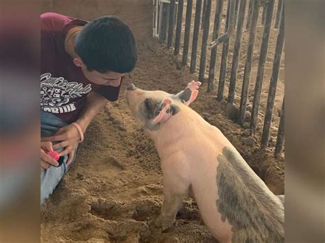 Noah Cavazos Psja Ffa