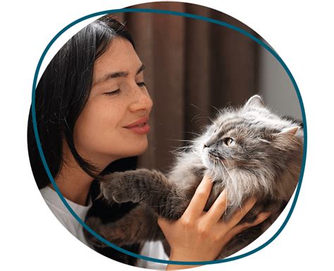 Welcome To Walnut Street Animal Hospital Blog