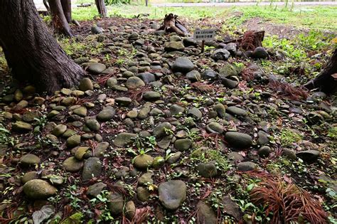 江釣子古墳群猫谷地支群79号墳 古墳とかアレ 出張所