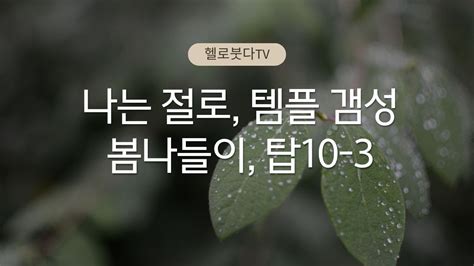 나는 절로 템플갬성 봄나들이 탑10 3 예산 수덕사 서울근교 여행 사진찍기 데이트코스 역사 문화 이야기 전설 설화 YouTube