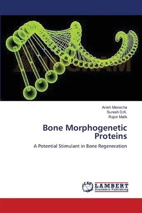 Bone Morphogenetic Proteins A Potential Stimulant In Bone Regeneration