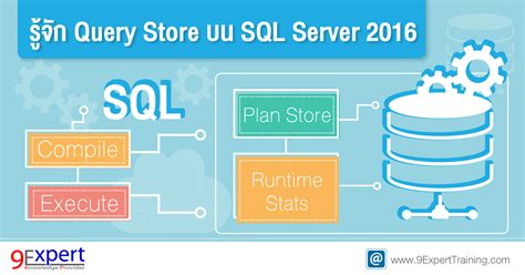 9expert Training 🎯 รู้จัก Query Store บน Sql Server 2016 🔖 รูปภาพ แสดงตัวอย่าง Indexes และ