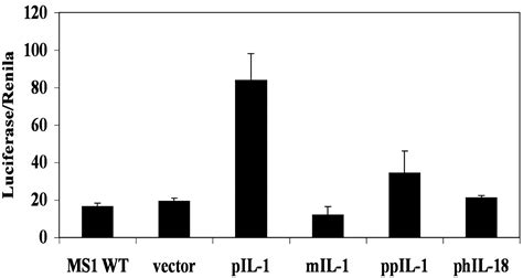 The precursor form of IL 1α is an intracrine proinflammatory activator