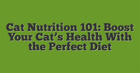 Cat Nutrition 101 Boost Your Cats Health With The Perfect Diet