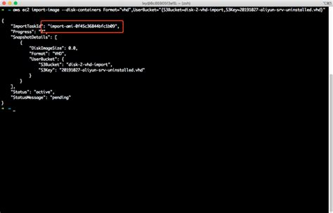 迁移阿里云 Ecs Windows 到 Aws Ec2