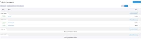 Bug Standard User With Project Owner Permissions Can See Namespaces