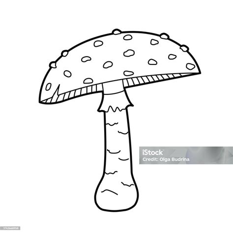 버섯 아마니타 벡터 검정 흰색 윤곽선 그림입니다 어린이 색칠하기 책의 디자인 요소 또는 페이지 가을에 대한 스톡 벡터 아트 및