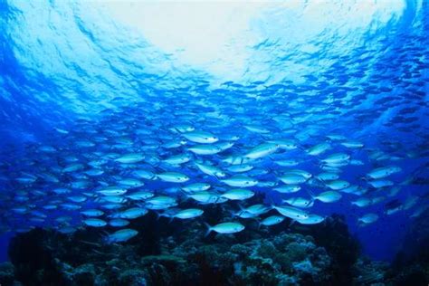 World Explore Official Blog From 海 旅 Guide