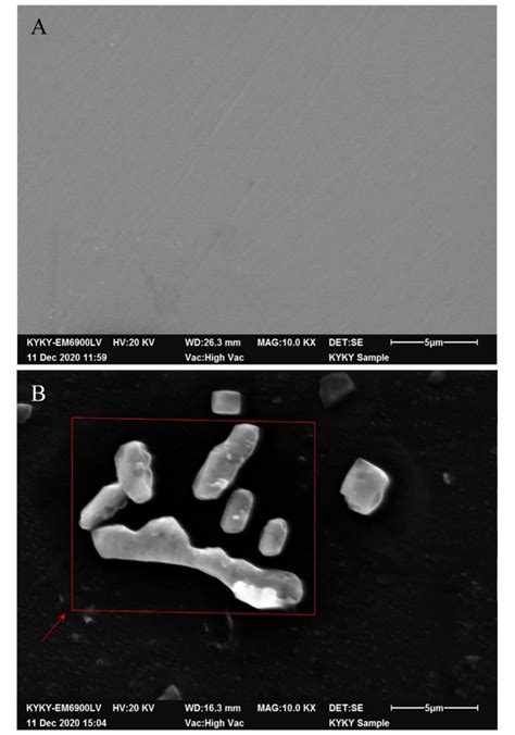 Scanning Electron Microscopy Of The Electrode Surface After