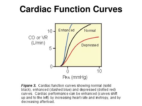 PPT Left Ventricular Function Frank Starling Principle Left Ventricular Failure PowerPoint