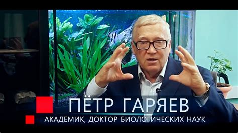 Гаряев Пётр Петрович Интервью о волновой генетике на канале ТВ ЭКСТРА