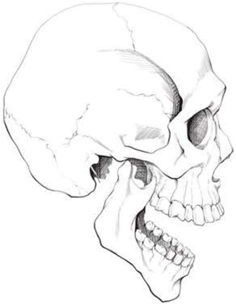 Dislocation Of The Temporomandibular Joint Dislocation Of The Head Of