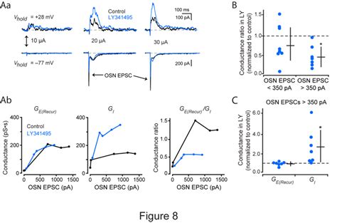 Group Ii Mglurs Contribute To More Favorable E I Ratios At High Osn