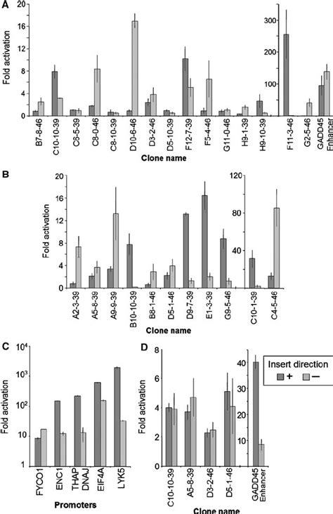 Functional Analysis Of Novel Tbp Binding Sites Genomic Dna Fragments