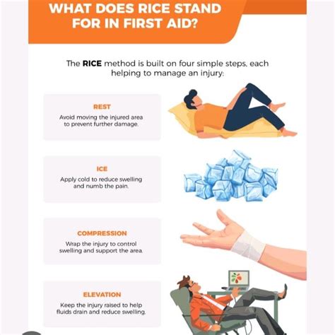 Rice Protocol Mean Drsamreen Pt