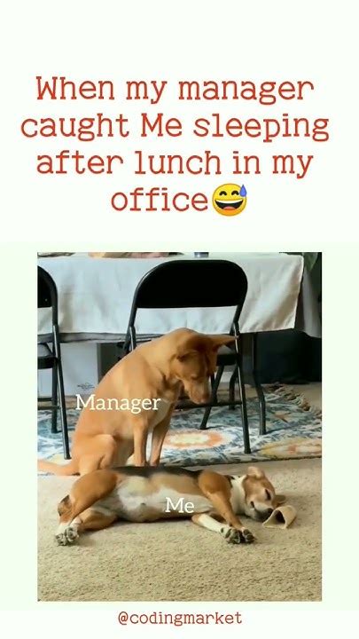 My Managers Reaction🤣😂😅manager Coders Programmers Clientes Viral