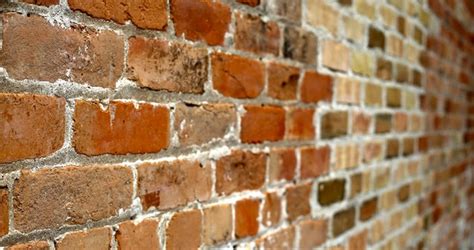 Free WordPress Themes With Masonry Layout WP Daily Themes