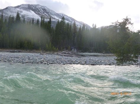 7 Day 1x1 Bull Elk Hunt In British Columbia