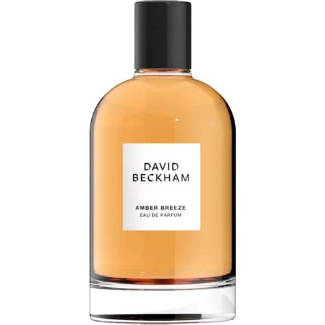 Ambre Breeze Perfume Ambre Breeze By David Beckham Feeling Sexy Australia 320021