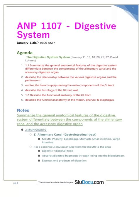 ANP 1107 Notes 1 7 Lohnes Human Anatomy And Physiology III ANP 1107