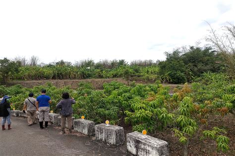 市府農業局成功爭取農損救助 即日起受理