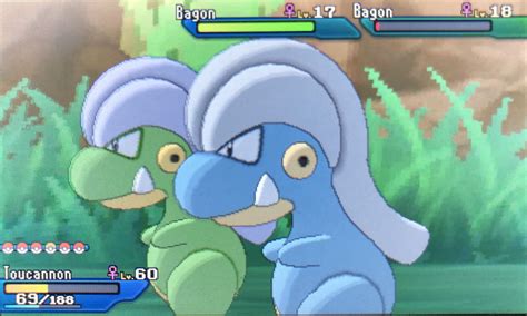 213 Best Bagon Images On Pholder Shiny Pokemon The Silph Road And Pokemongo