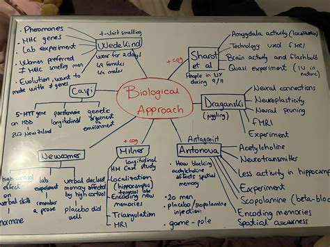 Psychology Mind Map