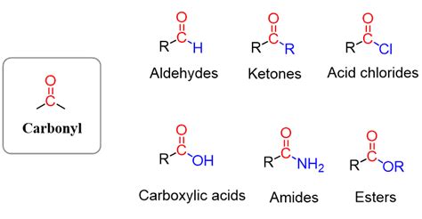 Functional Groups Carboxyl