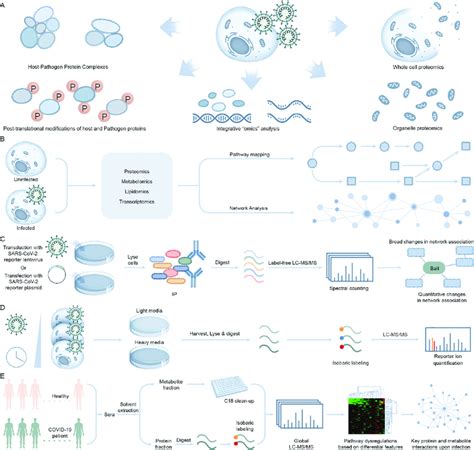 mass spectrometry based techniques used to identify virus host